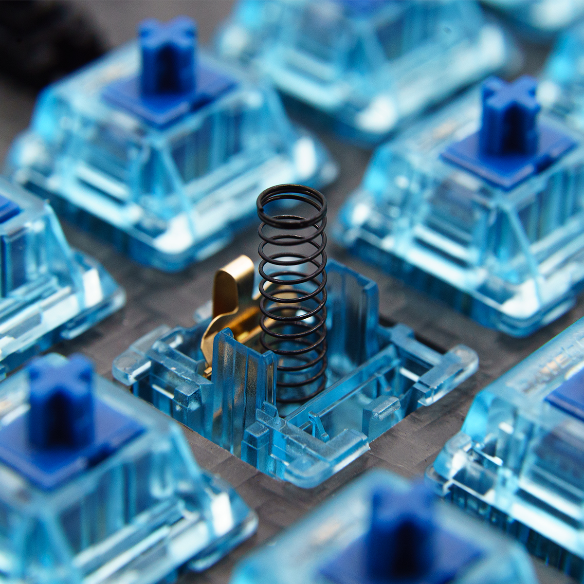 1upkeyboards XP Black Switch Springs » 1upkeyboards